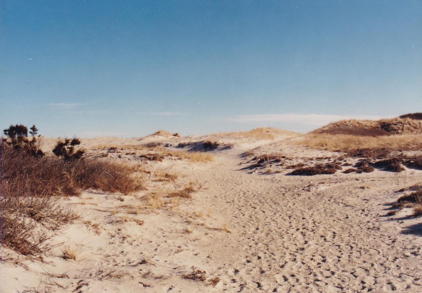 120 Years Ago: The Portland Gale - North and South Rivers Watershed ...