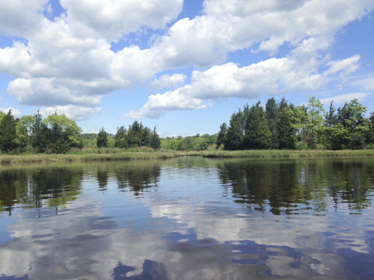 Bourne Island Lagoon - North and South Rivers Watershed Association