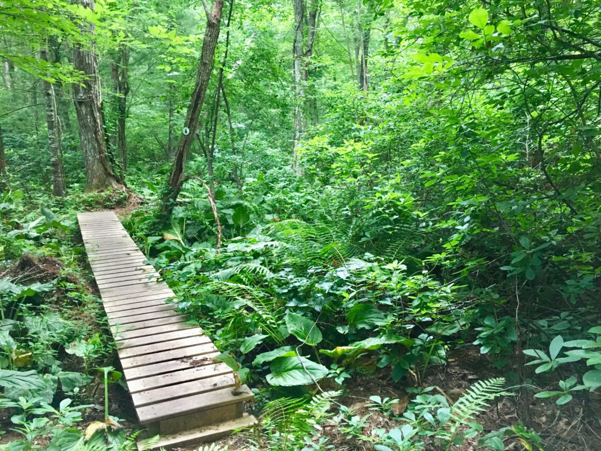 Miller Woods - North and South Rivers Watershed Association