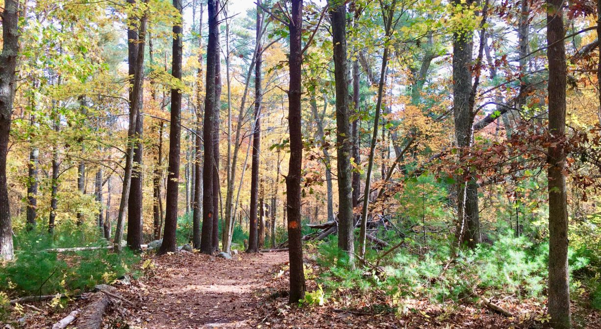 Pembroke High & Hobomock Elementary Trails - North and South Rivers ...