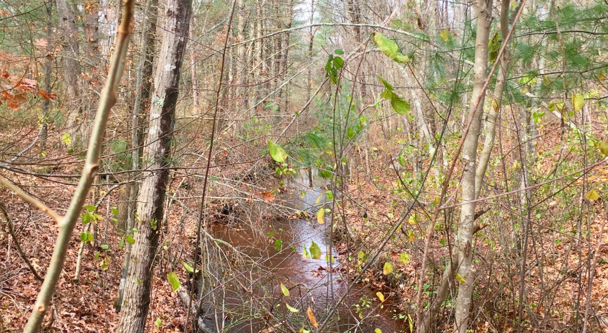 Thompson Pond Trail - North and South Rivers Watershed Association