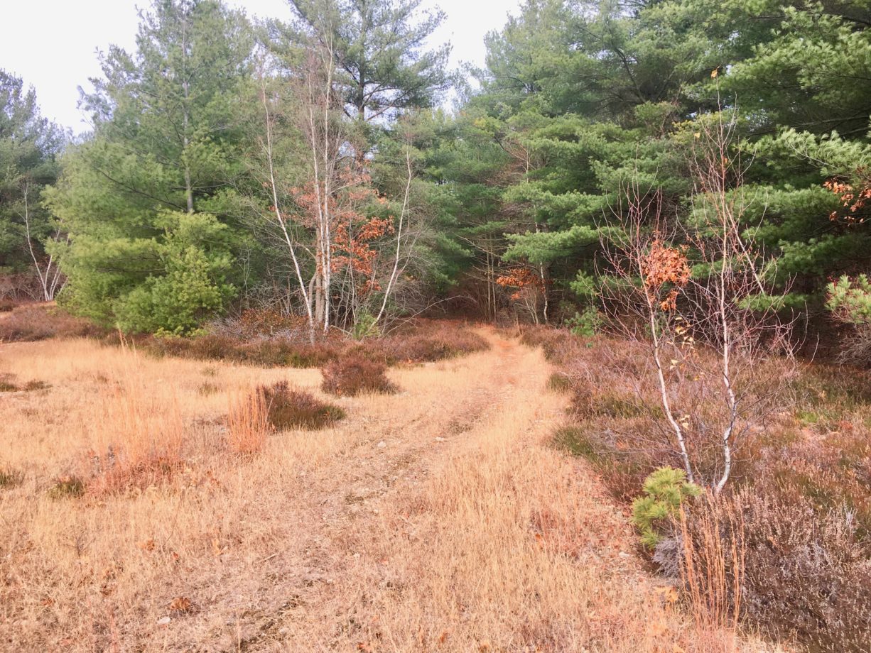 Thompson Pond Trail - North and South Rivers Watershed Association