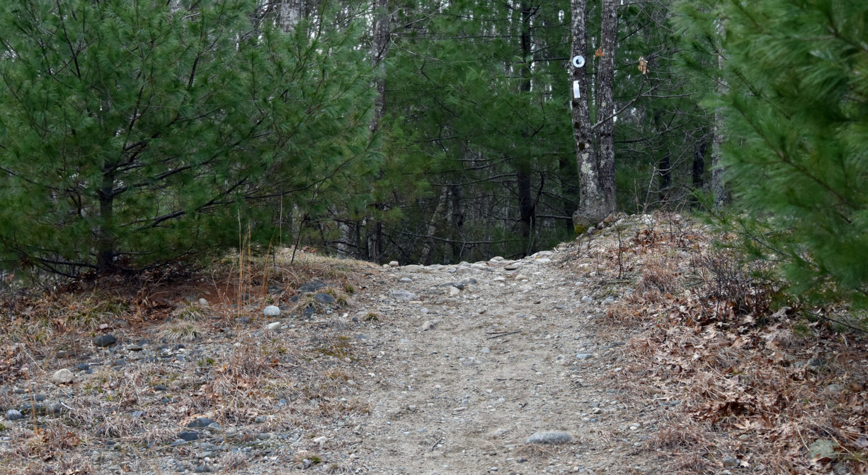 Tubbs Meadow Conservation Area - North and South Rivers Watershed ...