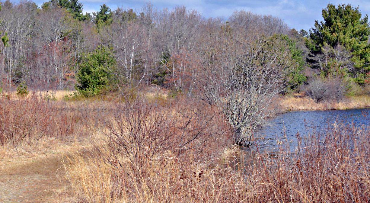 Tubbs Meadow Conservation Area - North and South Rivers Watershed ...