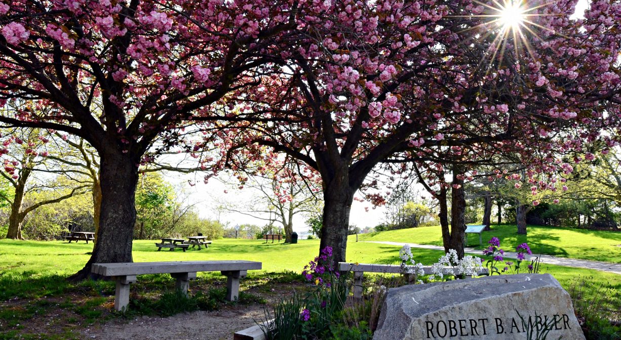 Webb Memorial State Park - North and South Rivers Watershed Association