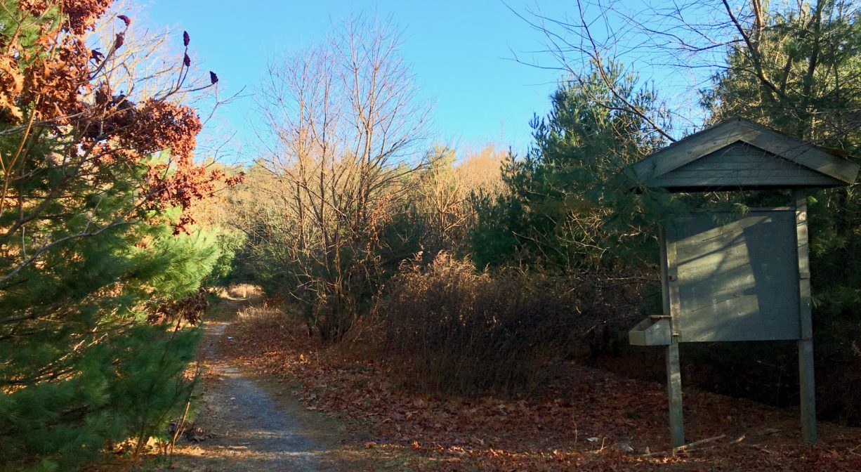 Tubbs Meadow Conservation Area - North and South Rivers Watershed ...