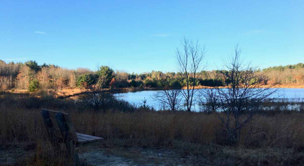 Tubbs Meadow Conservation Area - North and South Rivers Watershed ...
