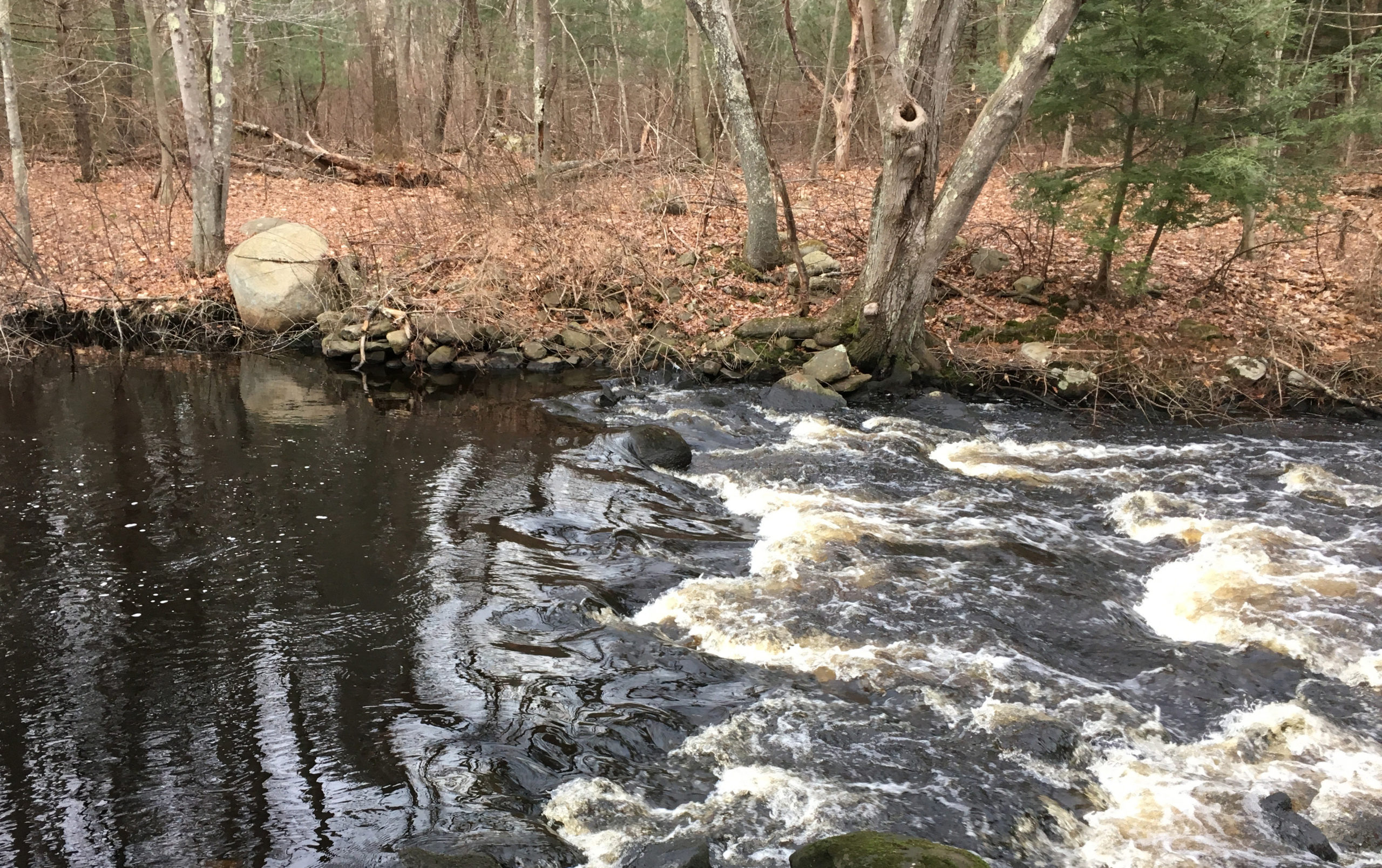 Trout Fishing the North and South Rivers Watershed - North and South ...