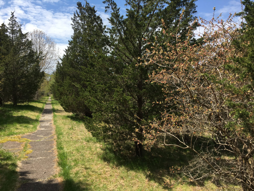 Nature Walks in Marshfield: 18 Places to Explore - North and South ...