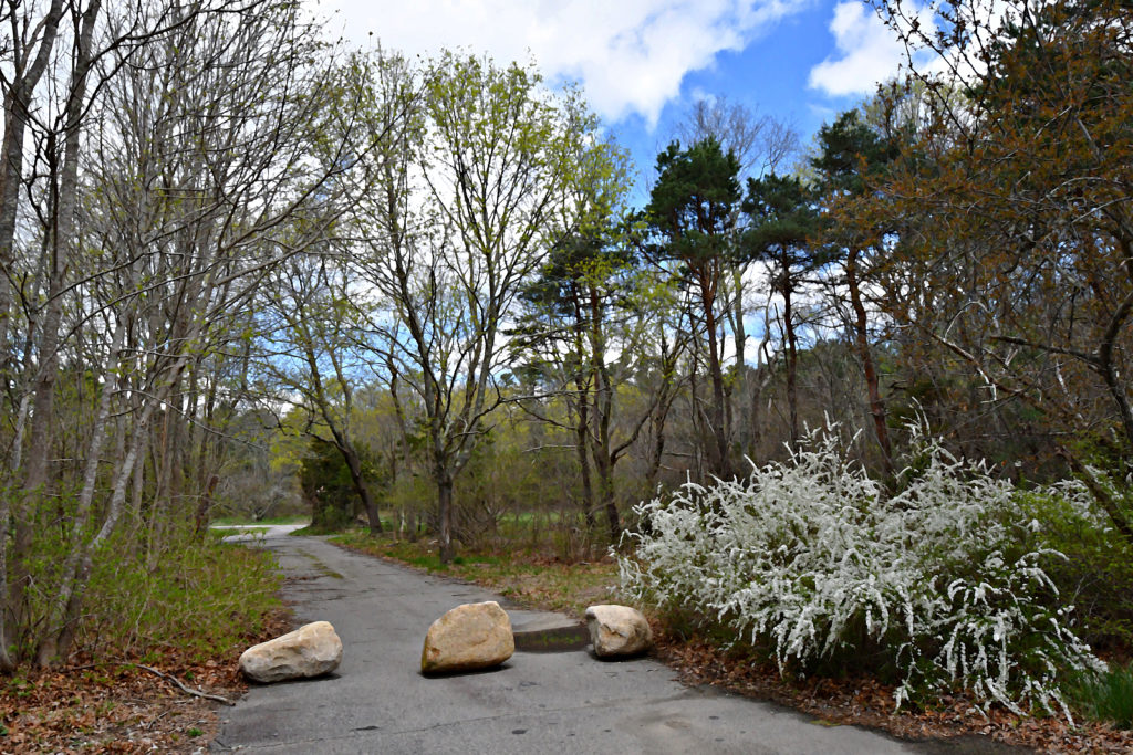 Nature Walks in Marshfield: 18 Places to Explore - North and South ...