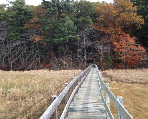 Nature Walks in Marshfield: 18 Places to Explore - North and South ...