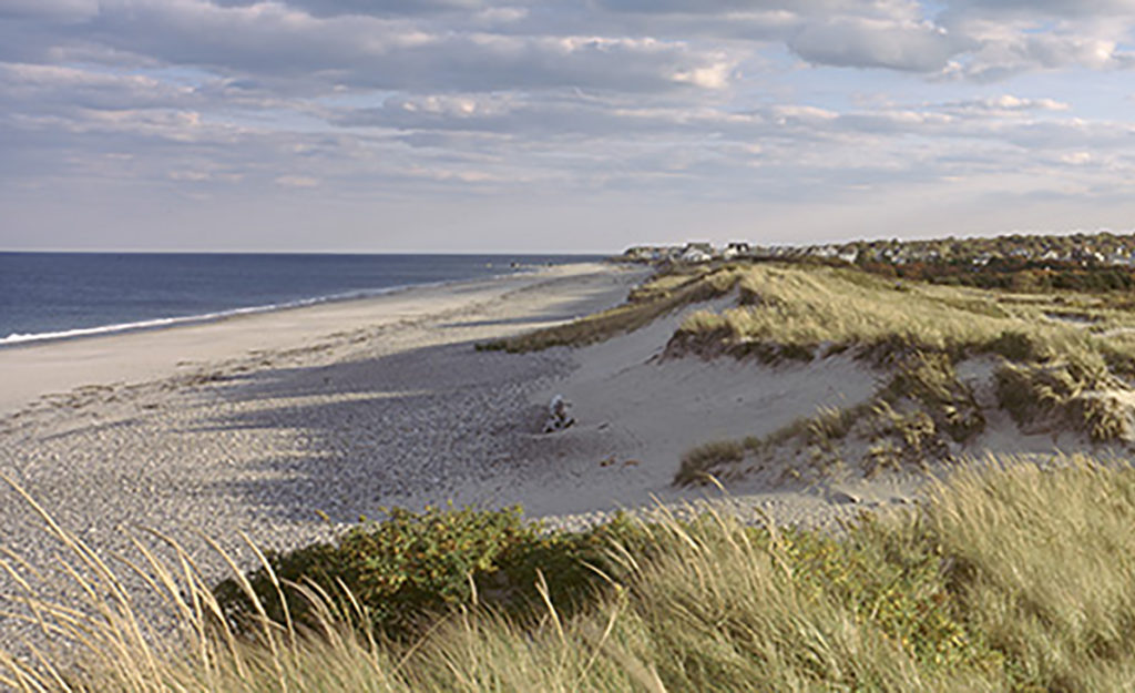 Nature Walks in Marshfield: 18 Places to Explore - North and South ...