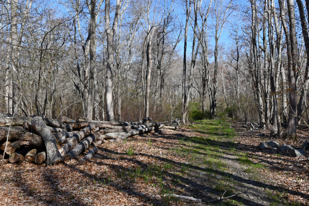 Nature Walks in Marshfield: 18 Places to Explore - North and South ...