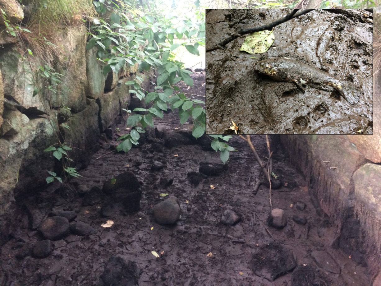 The Drying Up of Our Streams - North and South Rivers Watershed Association
