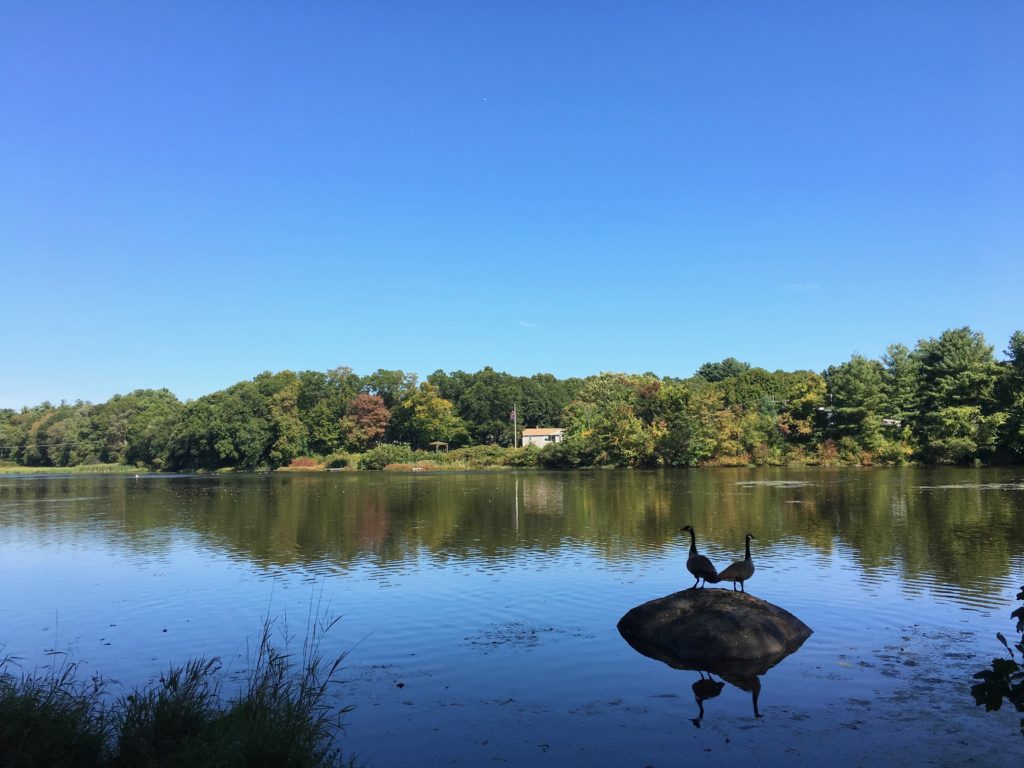 Nature Walks in Hanover: 13 Places to Explore - North and South Rivers ...