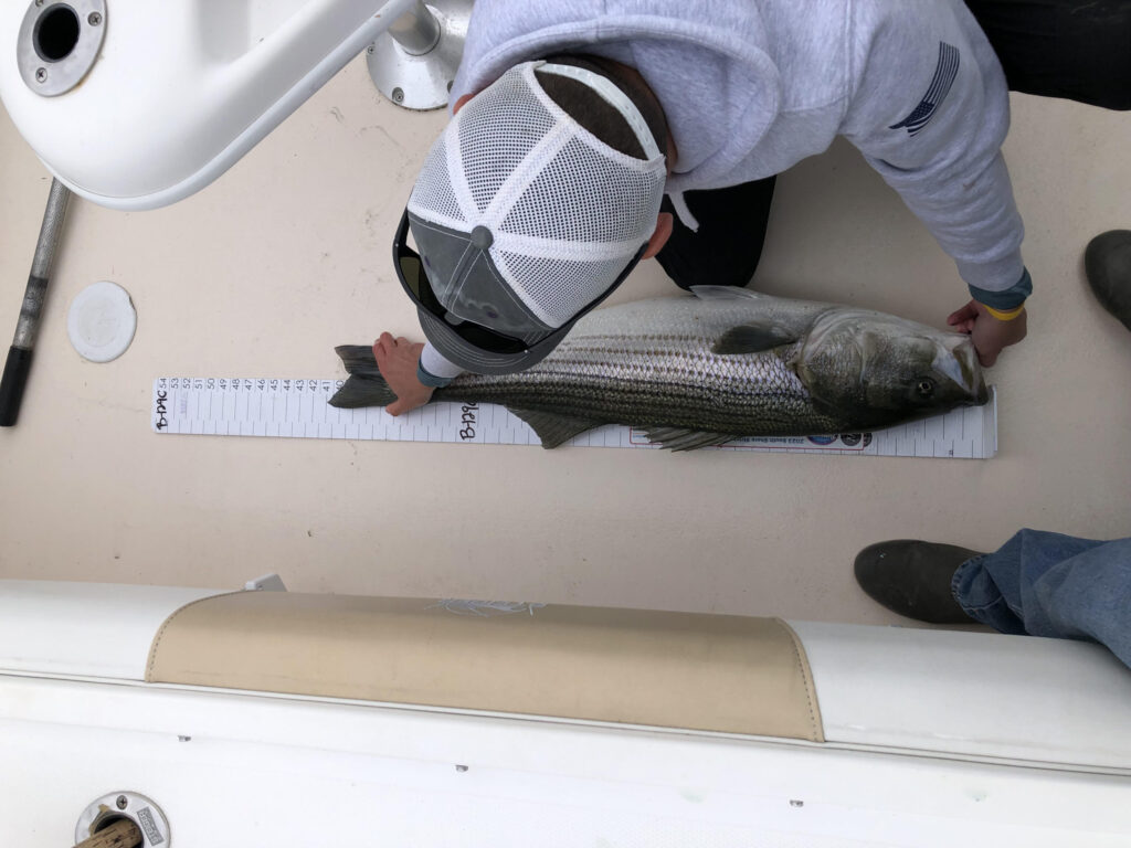 2023 Striper Tournament Leaderboard - North and South Rivers Watershed ...