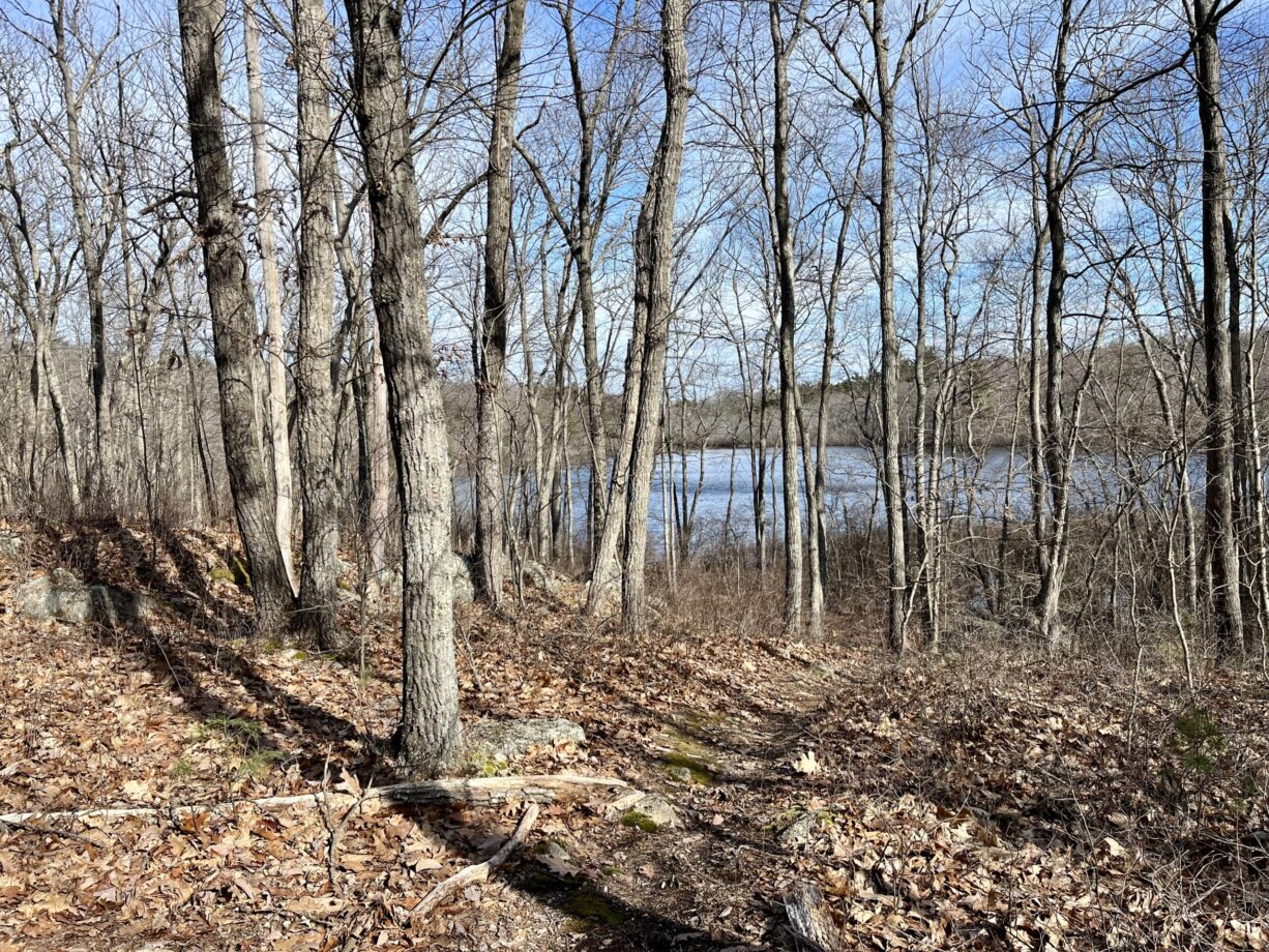 Cranberry Pond Conservation Area - North and South Rivers Watershed ...