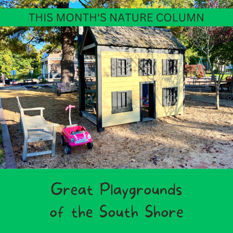 Great Playgrounds of the South Shore - North and South Rivers Watershed ...